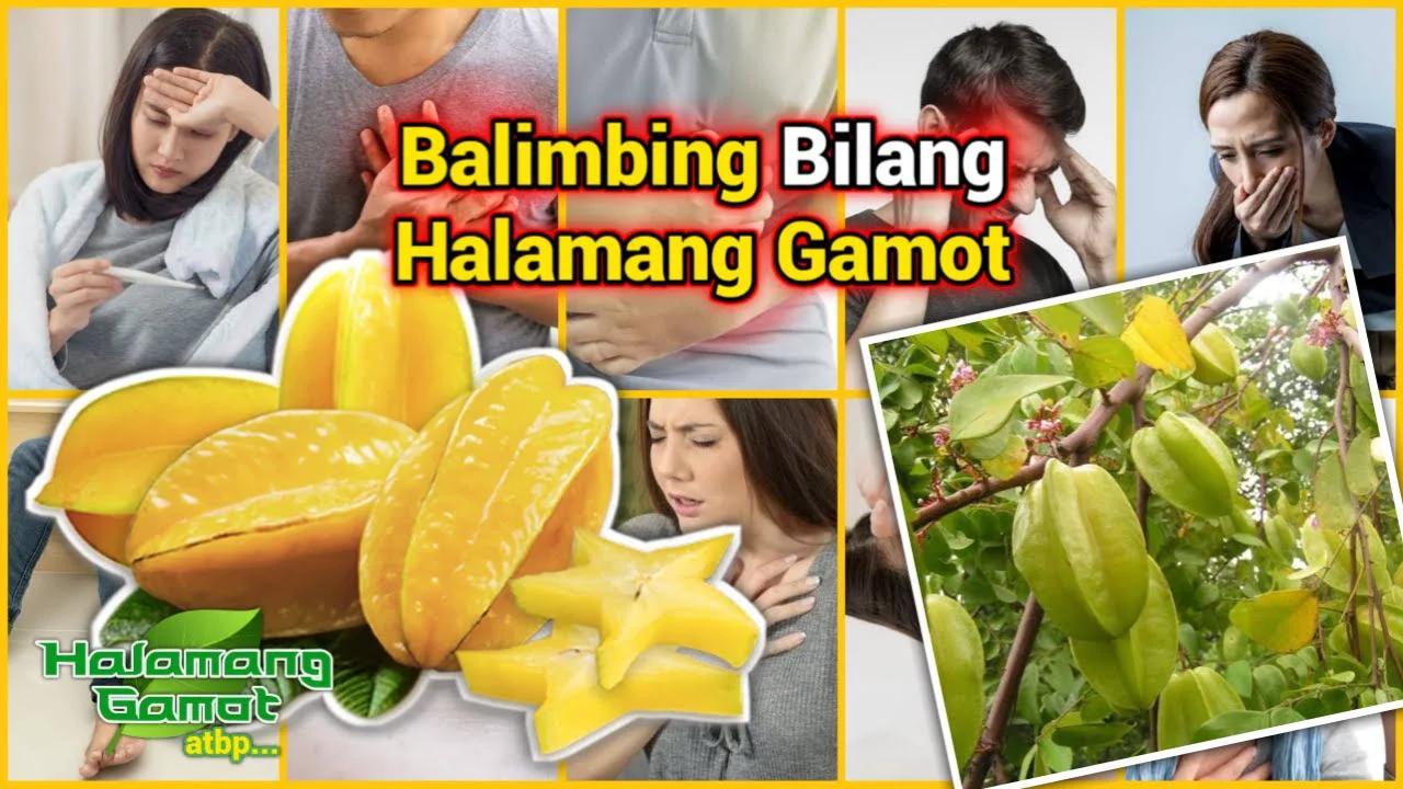 Balimbing Bilang Halamang Gamot | Halamang Gamot ATBP
