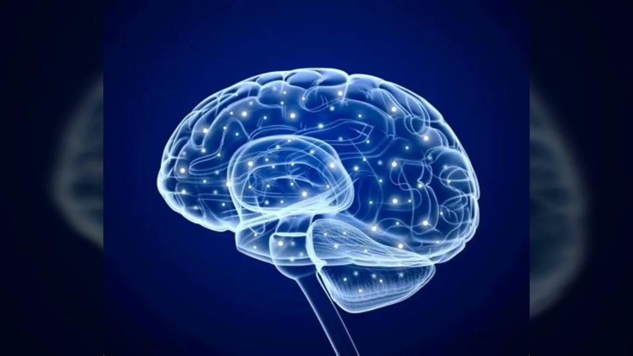 Lets Talk About Your Brain