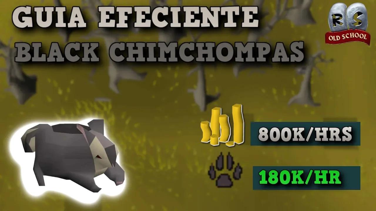 OSRS GUIA BASICA BLACK CHIMCHOMPAS 800K/HRS MODALIDAD MEMBER-P2P OLD ...