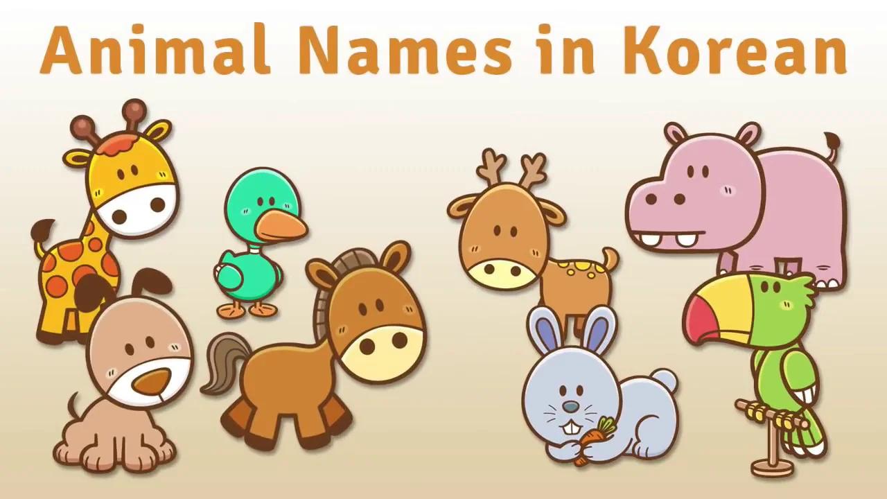 🐼🐻🐰🐶 APRENDE COREANO Animales 동물 Names in Korean Korean Vocabulary