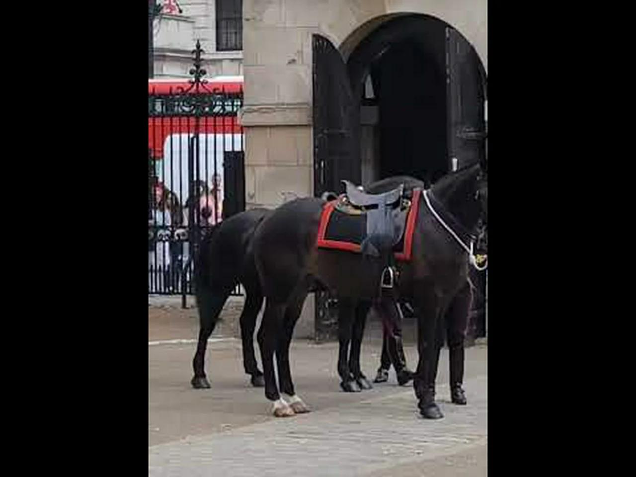 return Swords dismount #horseguardsparade