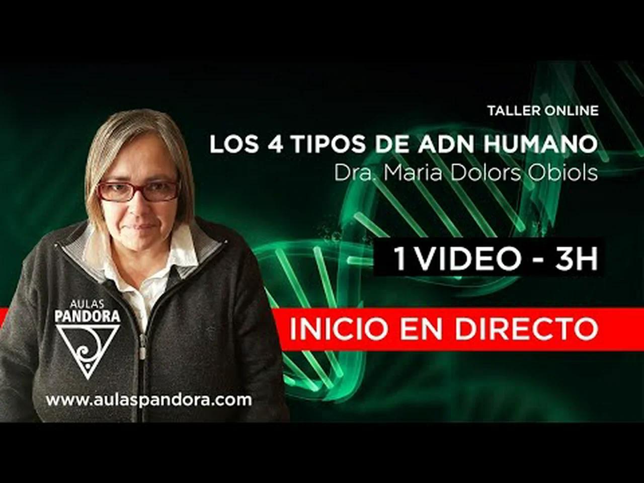 Inicio en directo taller: LOS 4 TIPOS DE ADN HUMANO - Dra. Maria Dolors ...