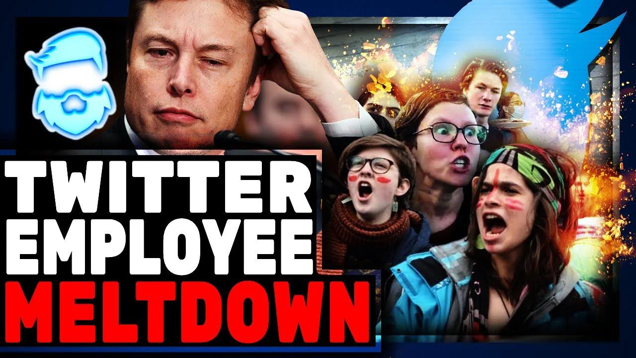 Twitter Employees Make INSANE Demands Of Elon Musk In Leaked Letter! 75 ...