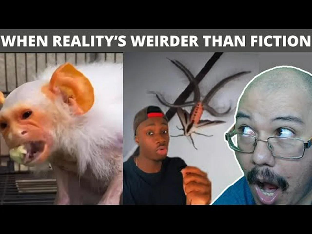 When Reality’s Weirder Than Fiction (Casual Geographic Reaction)