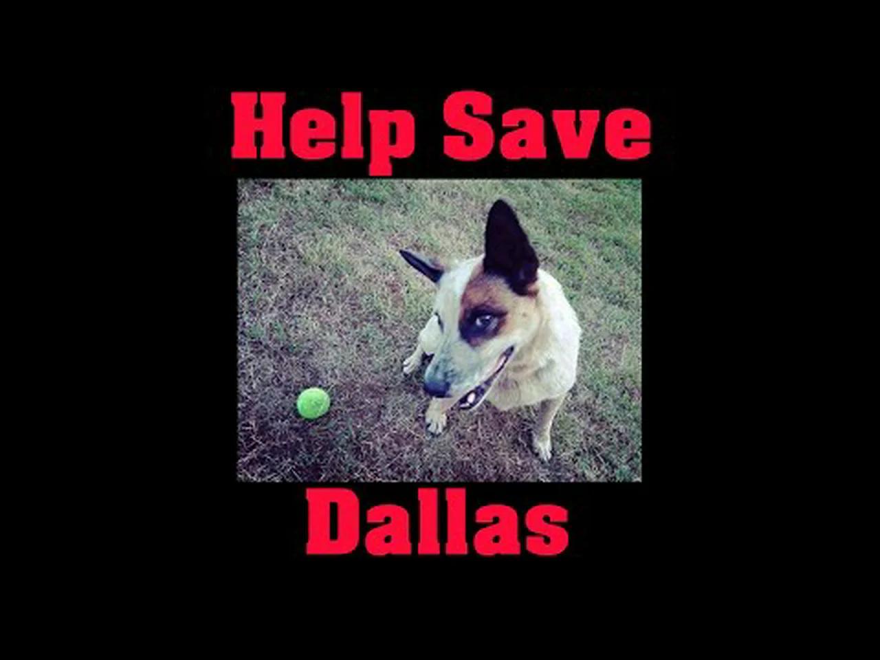 Help Save Dallas