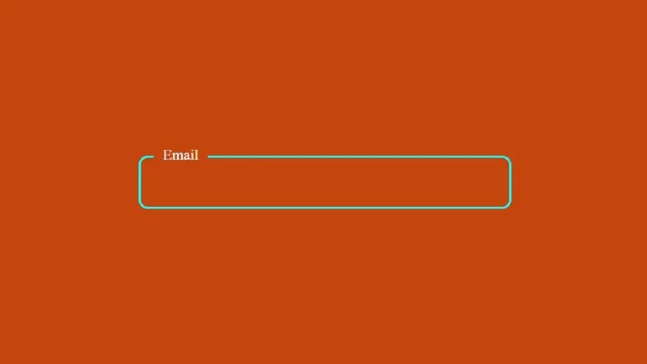 Input Animation With #HTML & #CSS