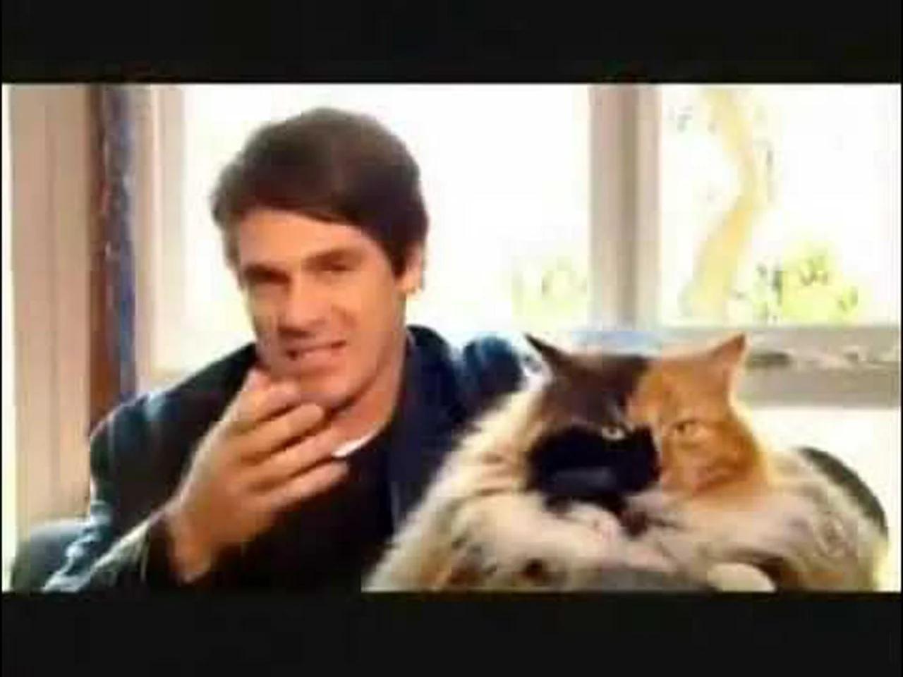 Toxoplasma Gondii Parasite in Cats Parasitic Mind Control 2024