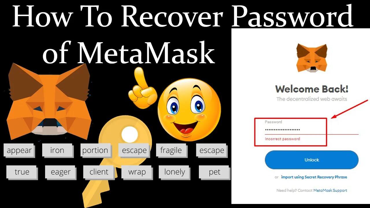 How To Recover Password of MetaMask Wallet | Password Reset