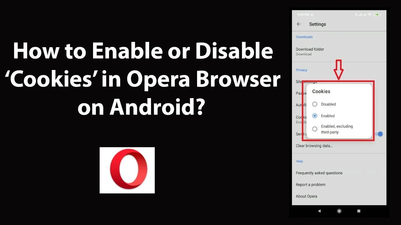 How to Enable or Disable Cookies in Opera Browser on Android?