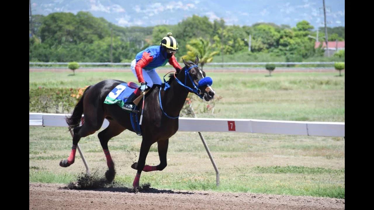 JAMAICA RACING: Neo Star Opens Sat, Sept 9, 2023 Card With Easy Effort
