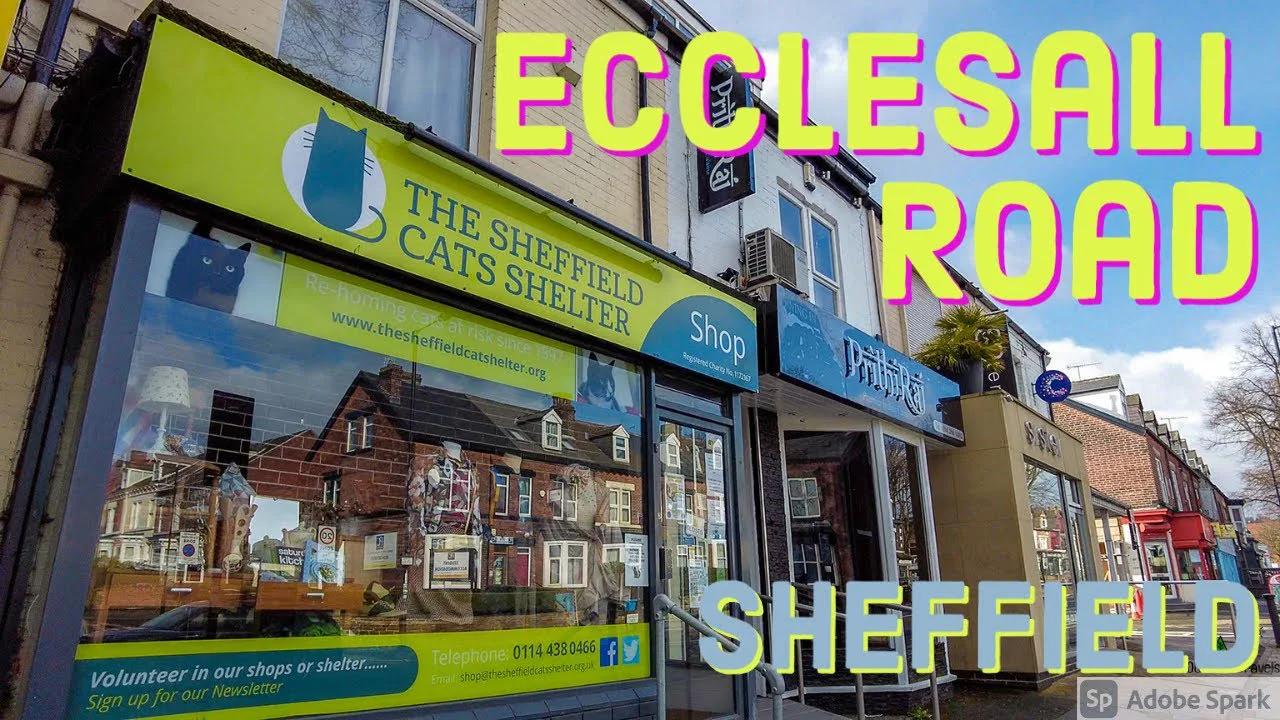 Sheffield Ecclesall Road Walk - Virtual Walk Summerfield Street to ...
