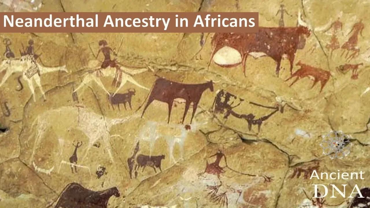 Neanderthal Ancestry in Africans