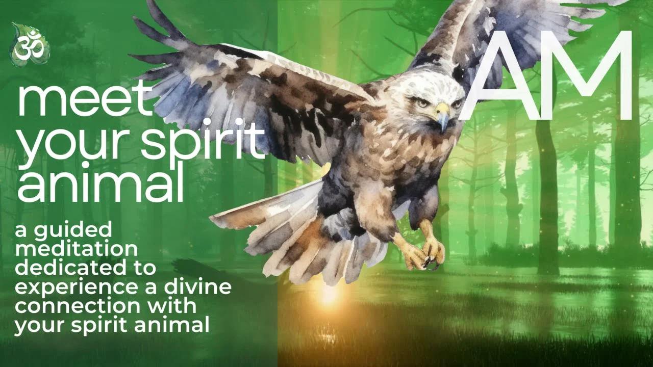 Meet Your Spirit Animal Guided Meditation