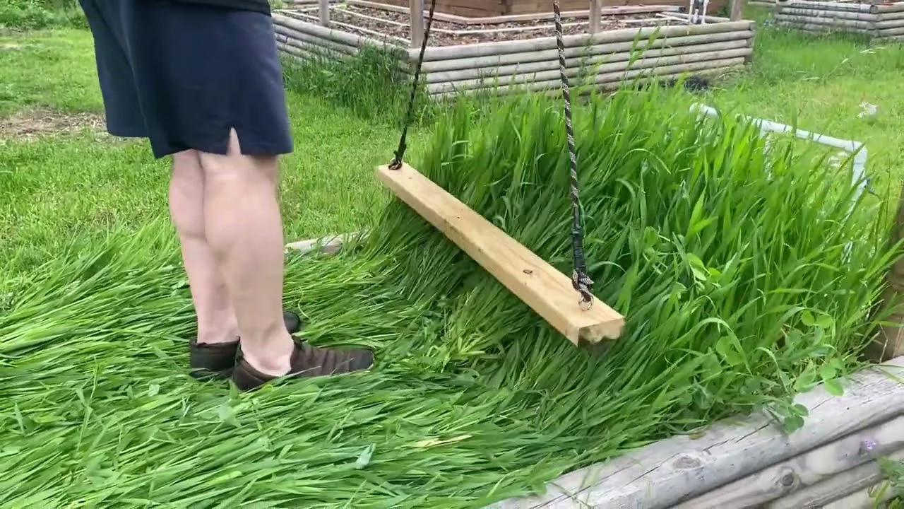 Using a Crimping Board Followed by Flame for Cover Crop Termination