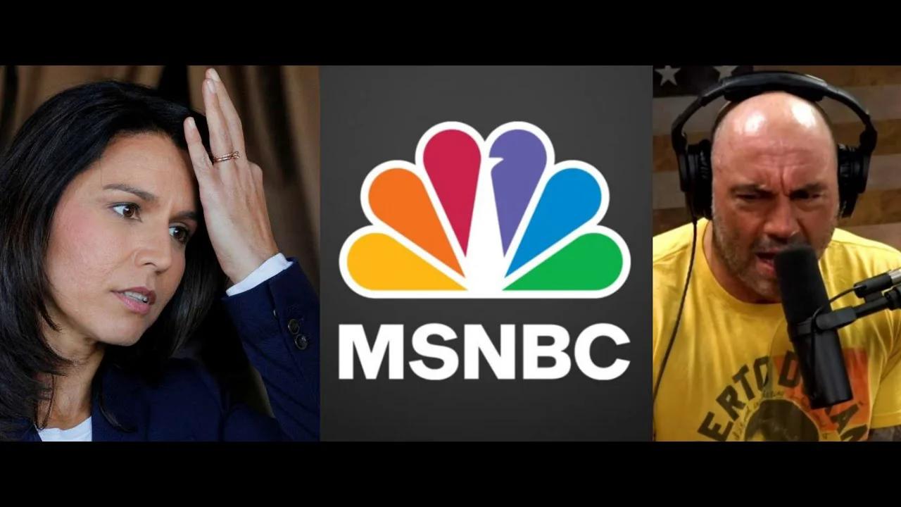 MSNBC Deceptively Alters Joe Rogan Video