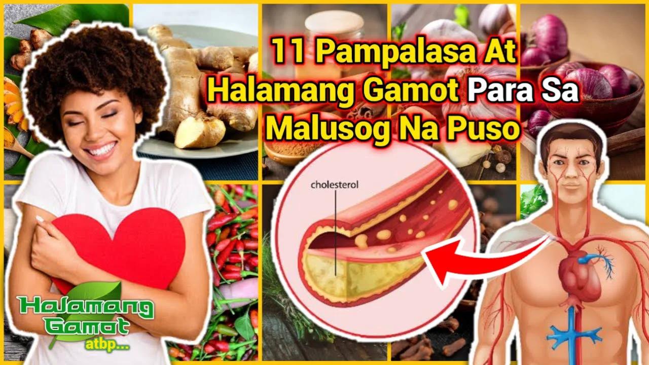 11 Pampalasa At Halamang Gamot Para Sa Malusog Na Puso | Halamang Gamot ...