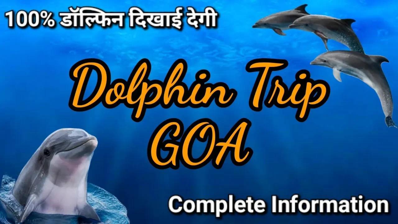 How to plan Dolphin Trip in Goa | डॉल्फिन ट्रिप , गोवा Complete information