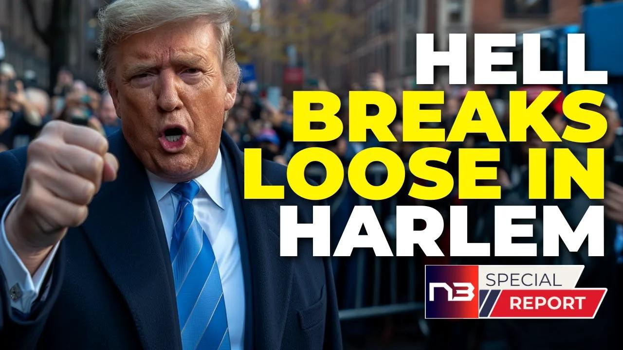 MUST SEE: ALL HELL BREAKS LOOSE as Trump Triumphs in Harlem, Incredible ...