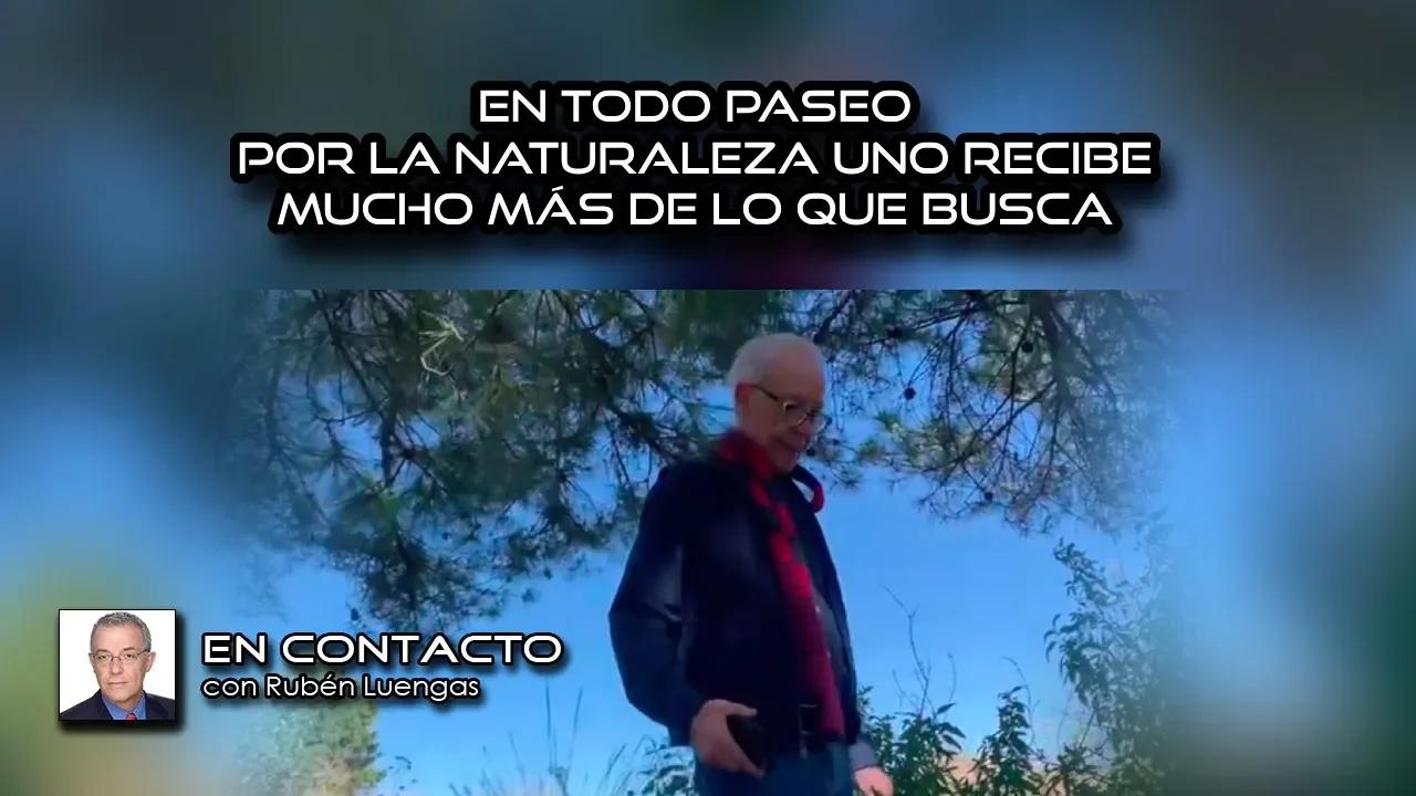 REFLEXIÓN: En todo paseo por la naturaleza uno recibe mucho más de lo ...