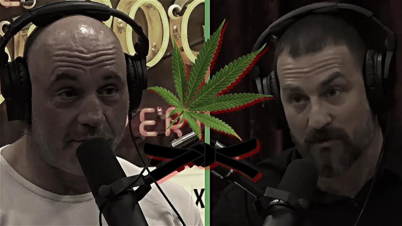 Joe Rogan reveals shocking effects of weed on disciplined individuals # ...