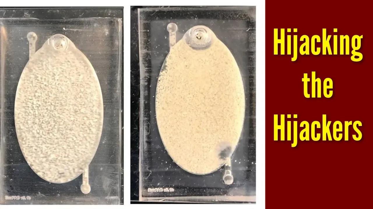 Hijacking the hijackers: engineering bacterial viruses to genetically ...