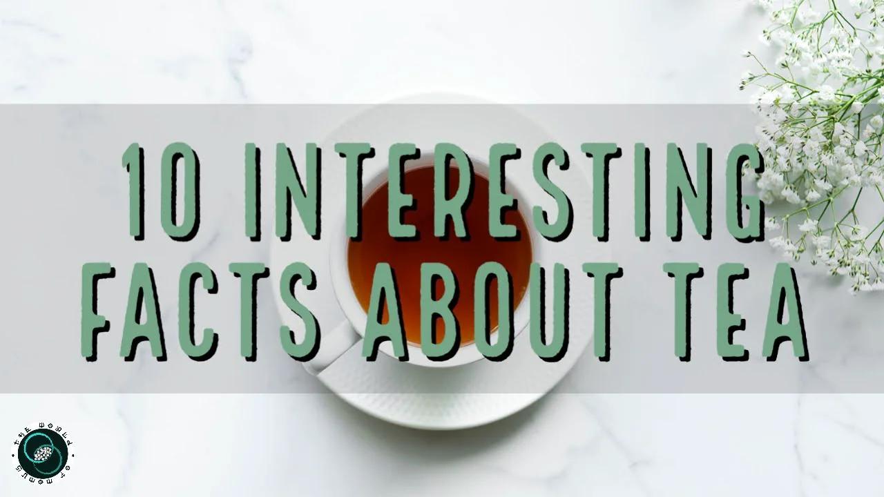 10 Interesting Facts about Tea | Interesting Facts | The World of Momus ...