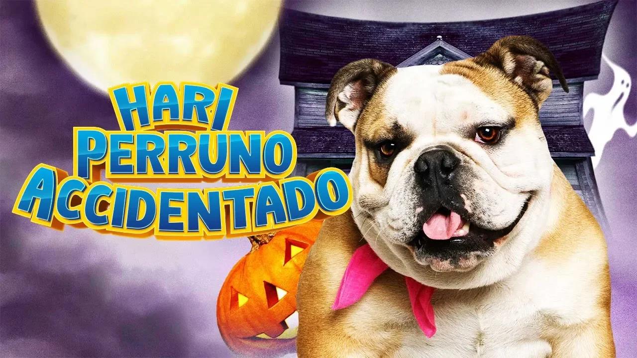 Novio Perruno Accidentado | Estreno 2024 | Hd | Pelicula De Familiar En ...