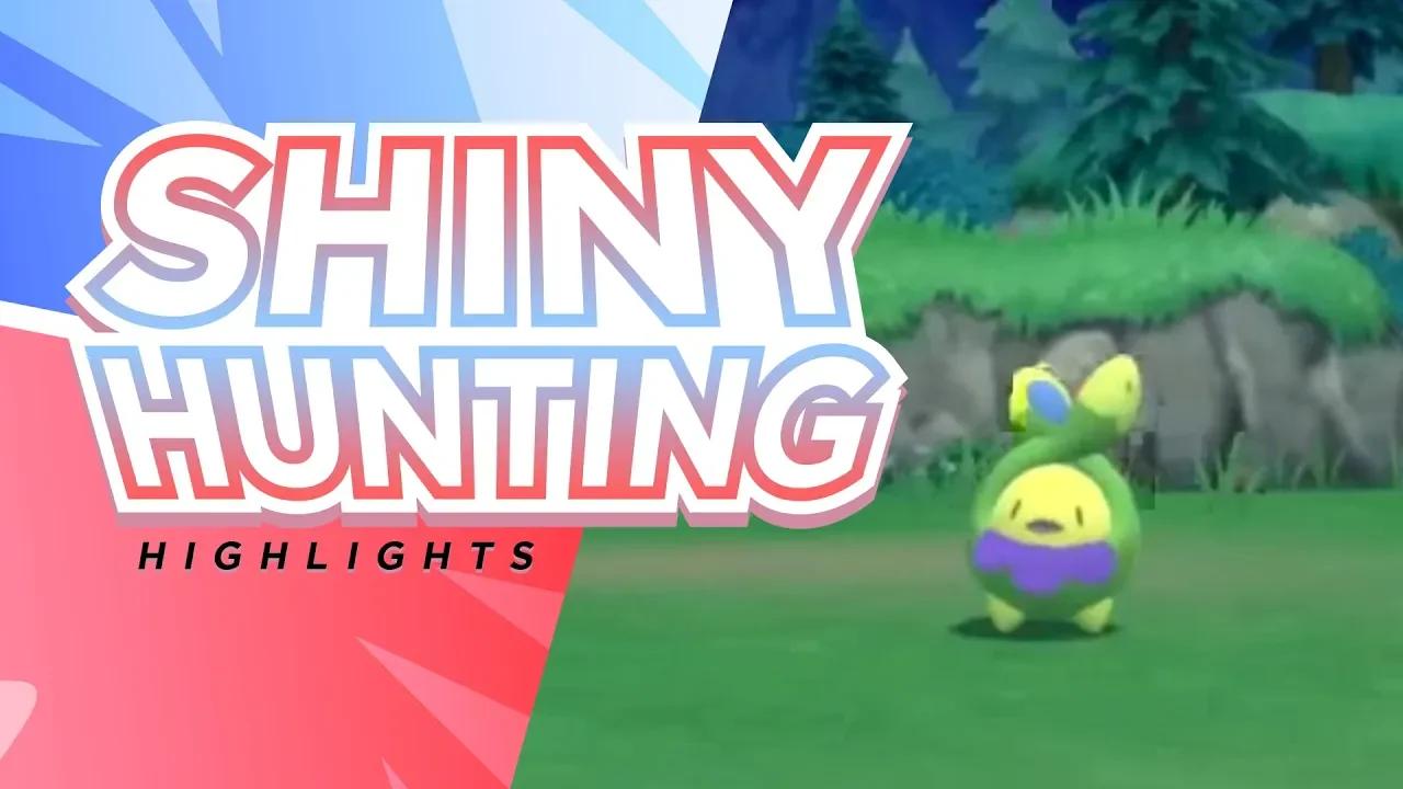 Pokémon Road to Sinnoh Dex: Number: 406 (Budew Reaction)