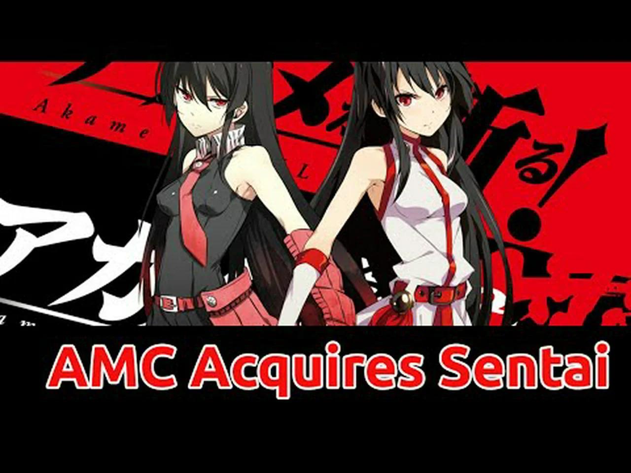 AMC Acquires Sentai Filmworks - More Anime Monopoly - Should You Worry ...
