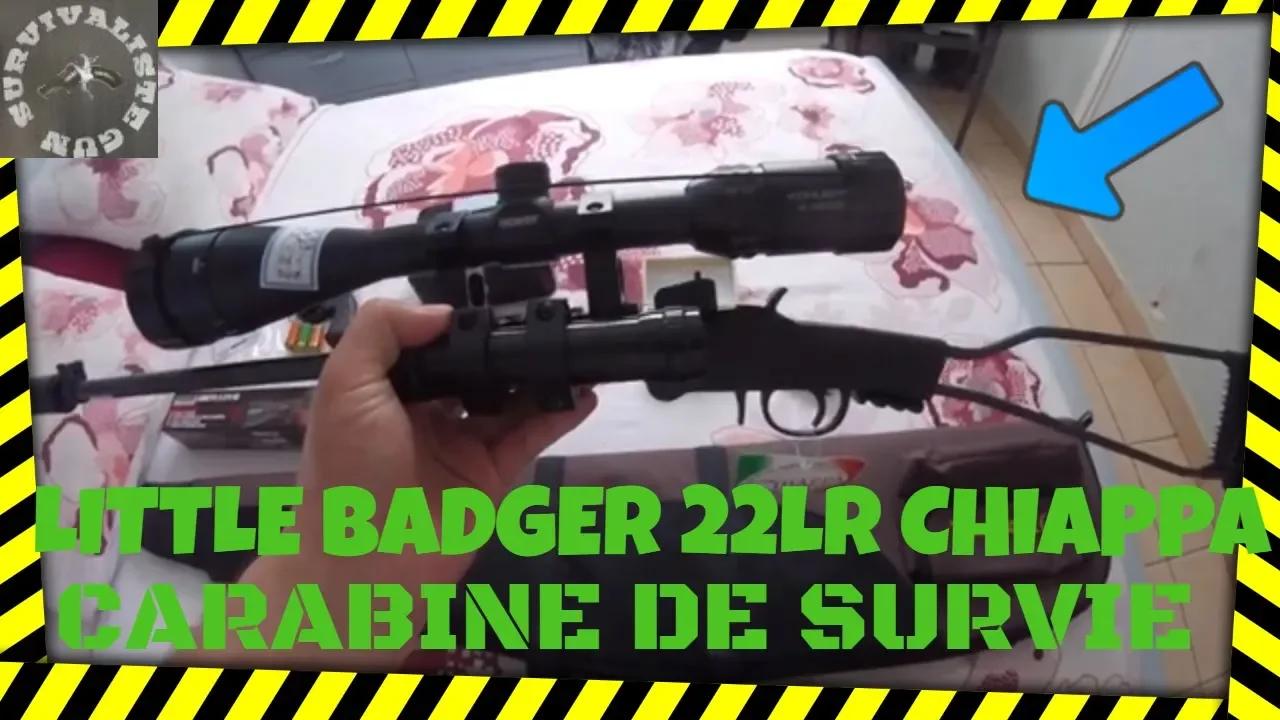 22 long rifle revolver shooting