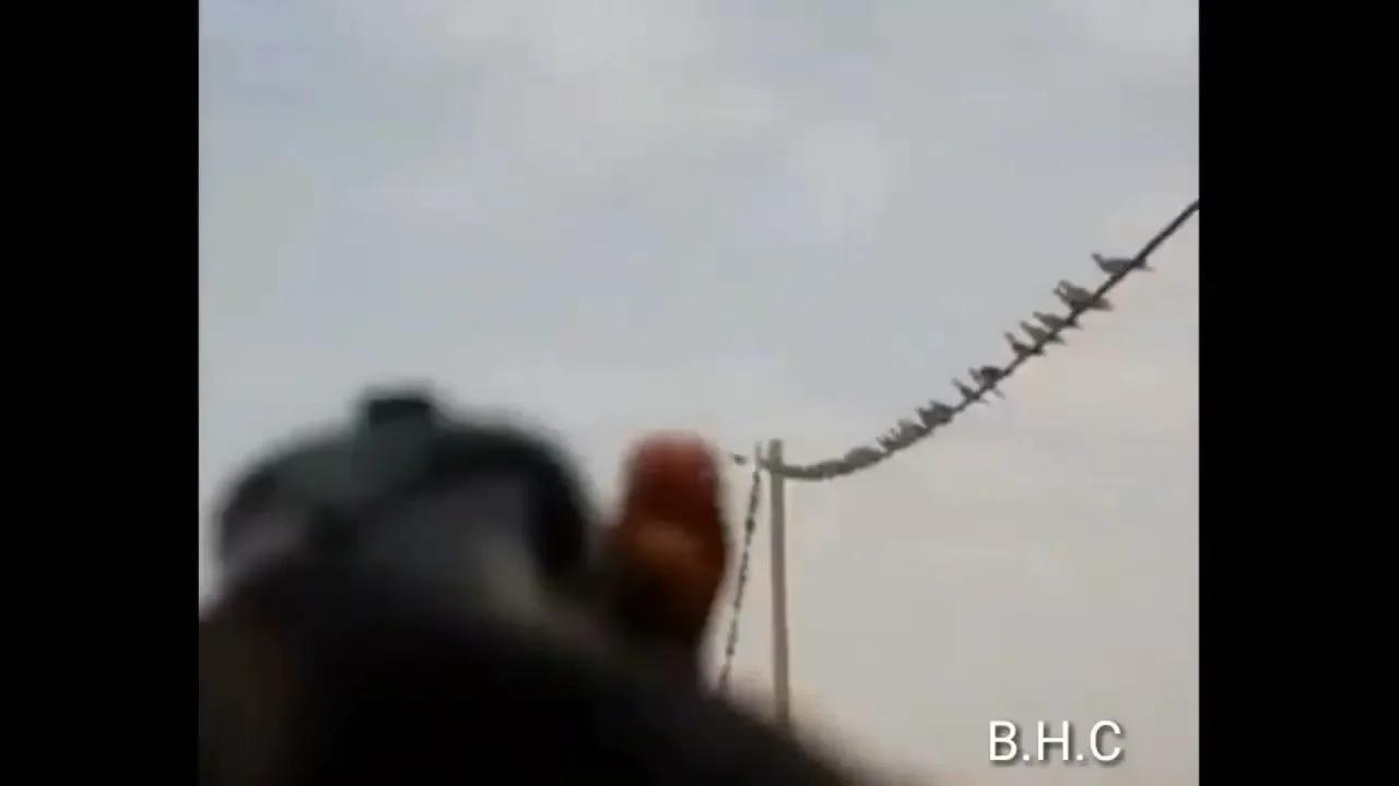 Peigon Dove and Duck hunting in Pakistan Season 2023 | Hunting in Pakistan