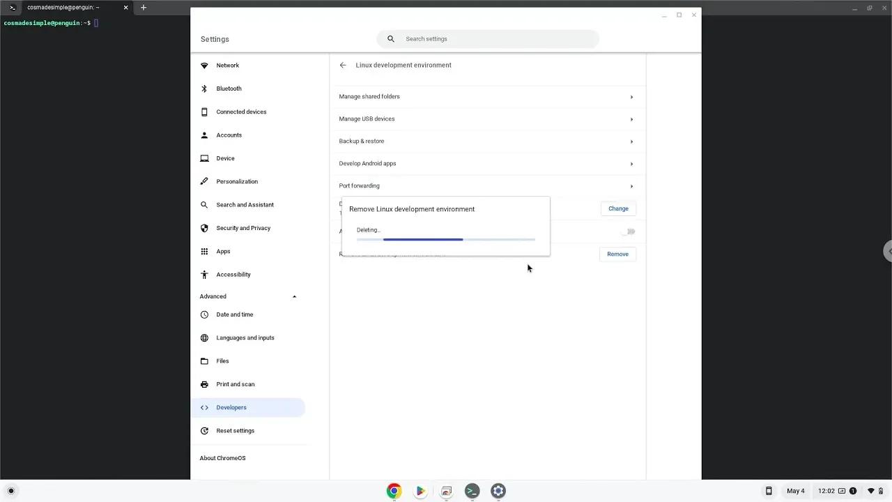How to remove the Linux Container on a Chromebook