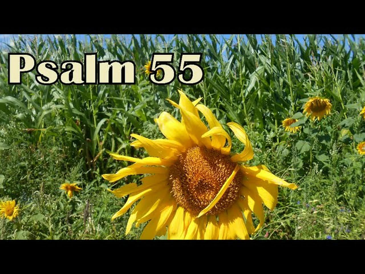 Psalm 55 (Luther 1912)