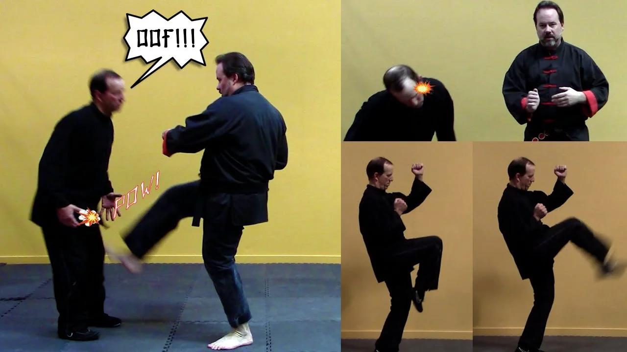 How to do a Snap Kick