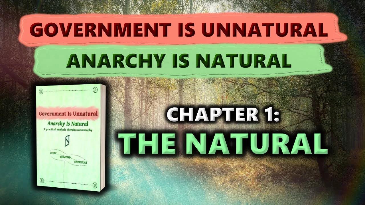 Chapter 1: The Natural - Government Is Unnatural, Anarchy Is Natural ...