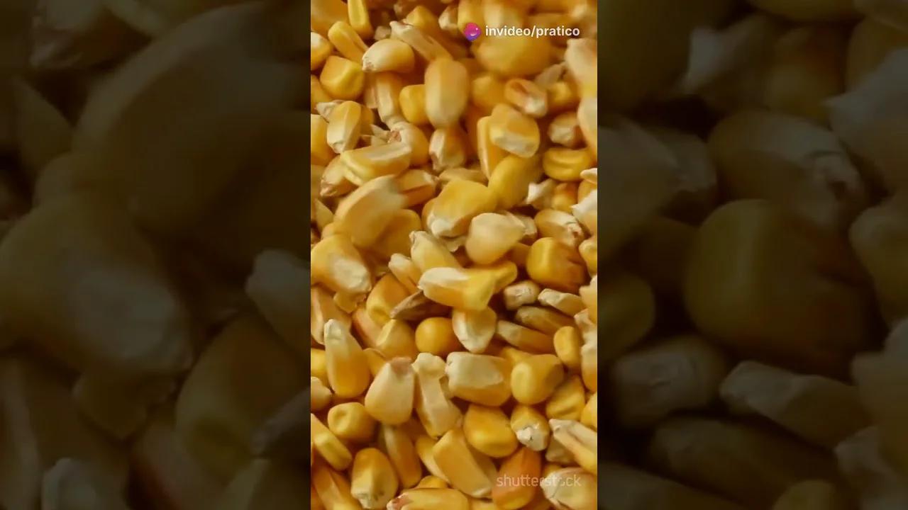 Legno di FRAKE Caratteristiche e Proprietà #legno #restauro # ...