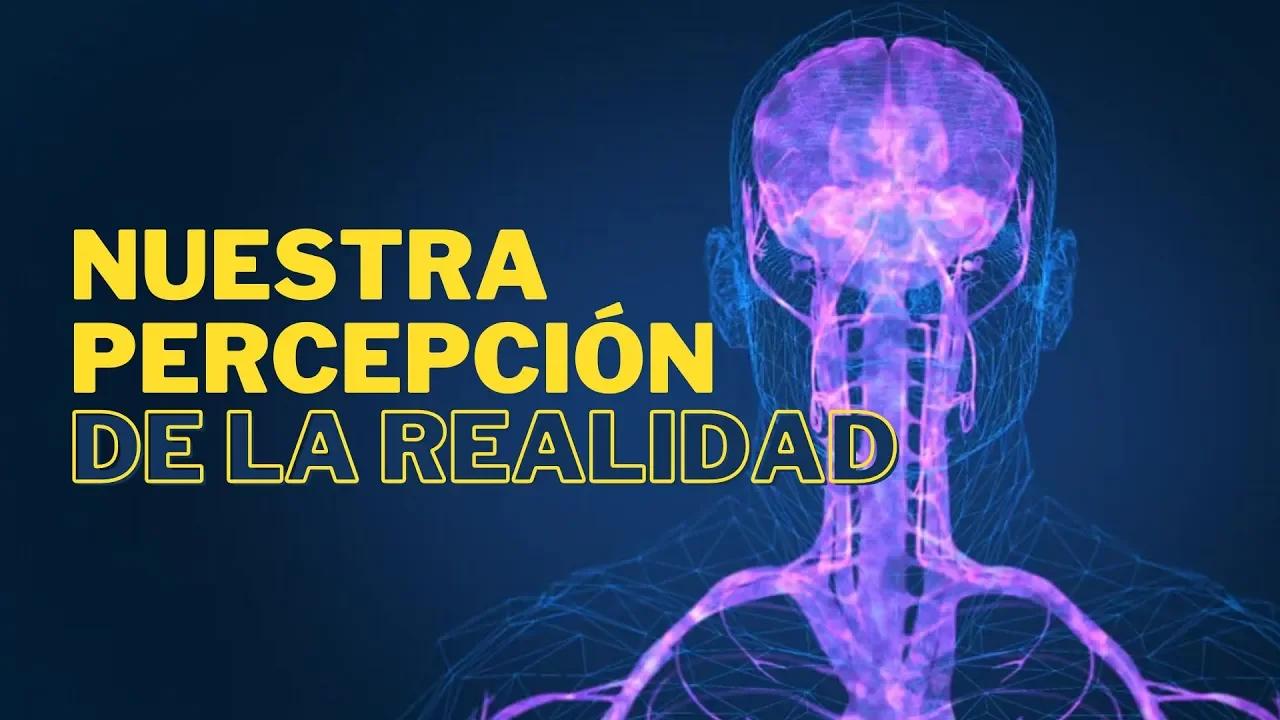 Nuestra percepción de la realidad | Técnica Alexander | Felipe ...