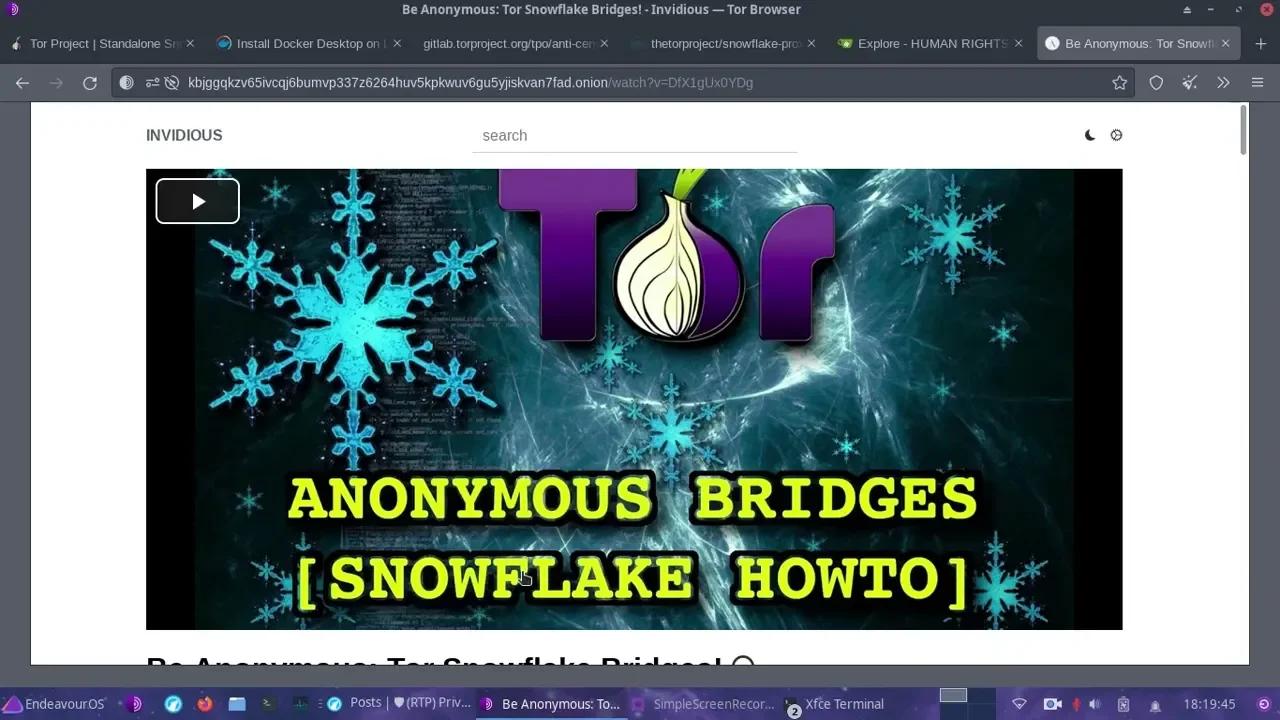 Setting Up Tor Snowflake Proxy Standalone