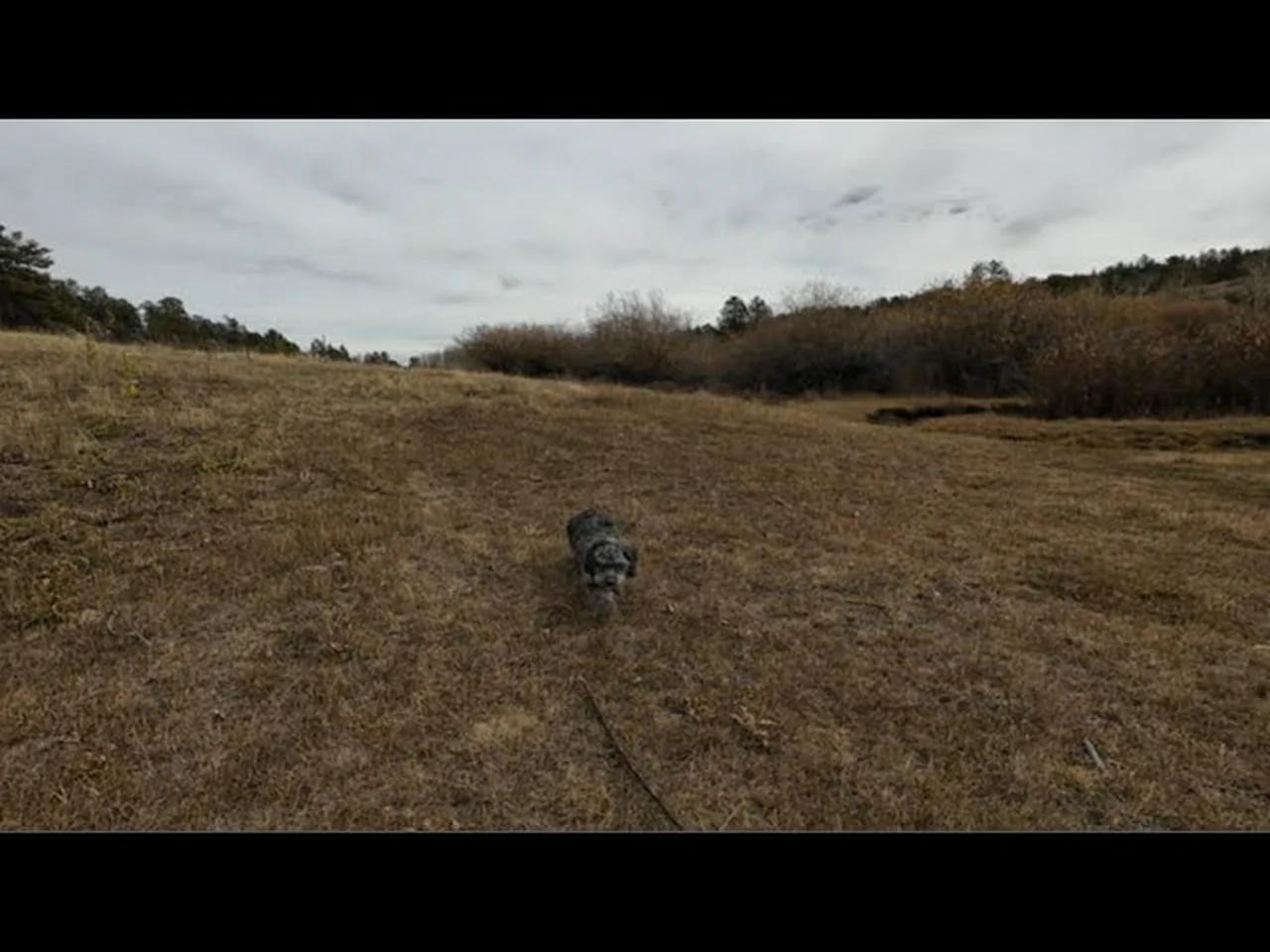 Toto Back On The Trail