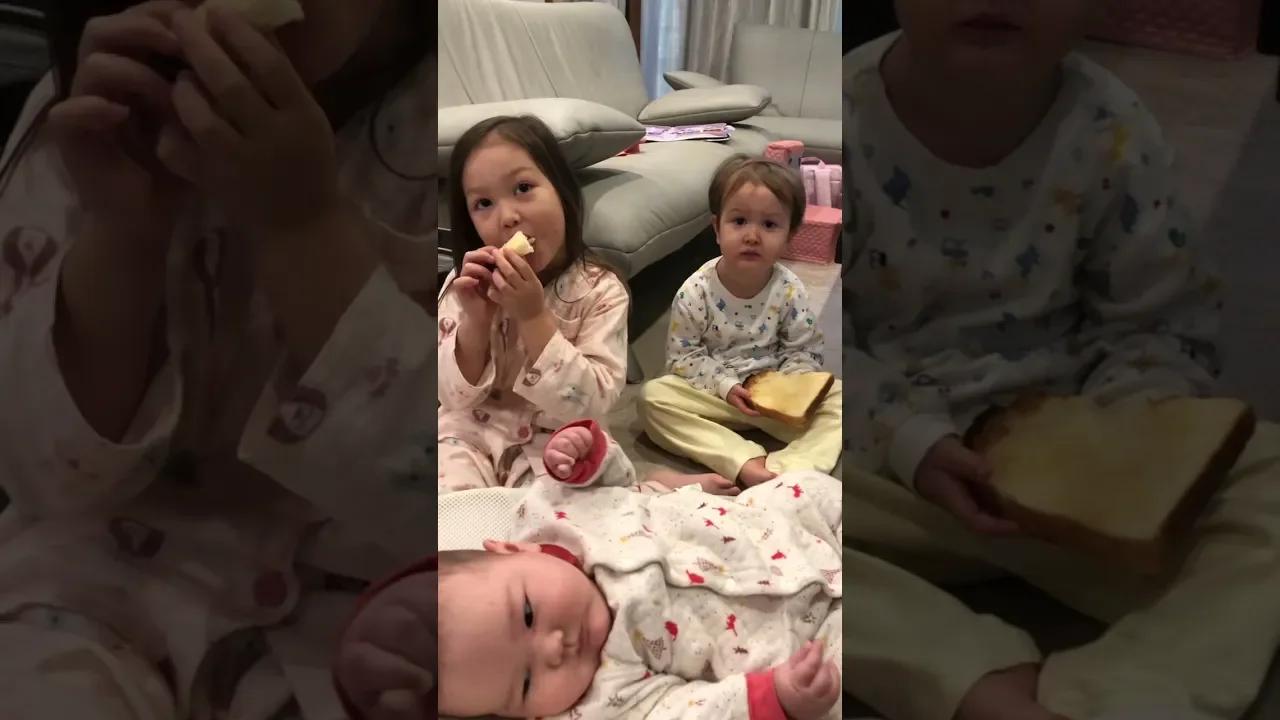 Ultra dimensional trains of Japan