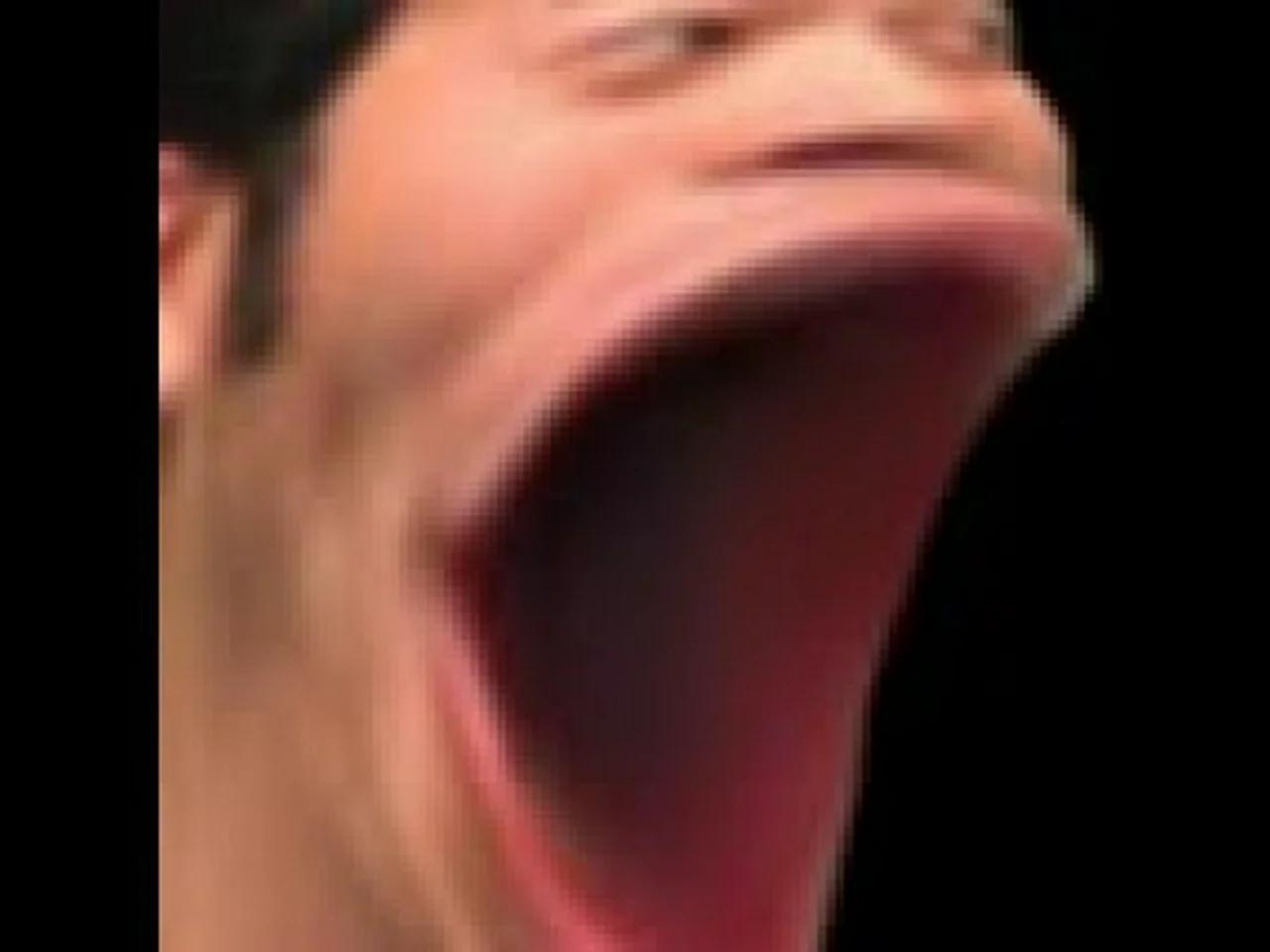 Roblox Bypassed Audios August 10th