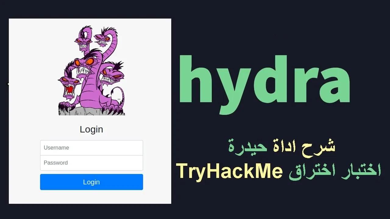 TryHackMe - شرح اداة Hydra
