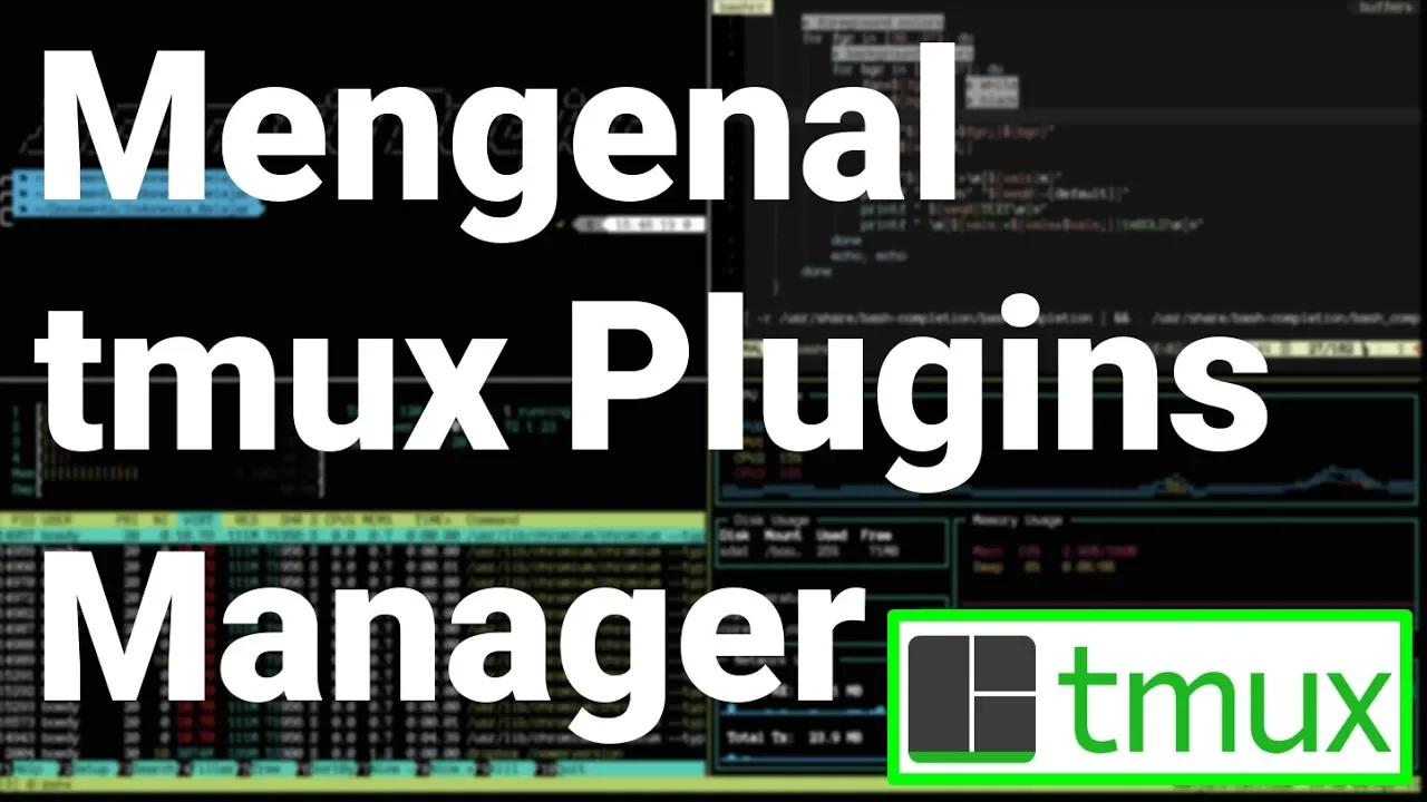 [tmux 06] Mengenal Tmux Plugins Manager (TPM) untuk Mengelola Plugins pada tmux bagi Pemula
