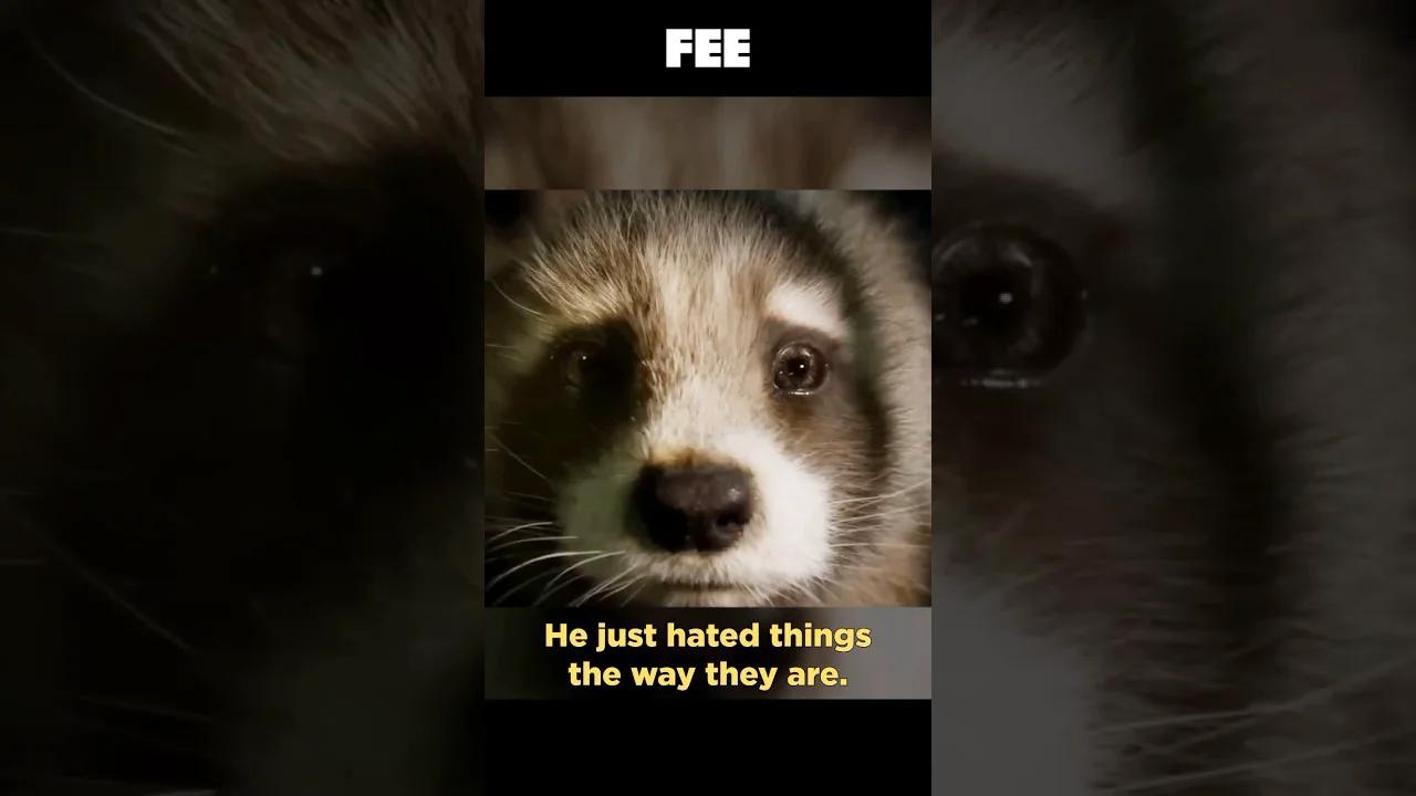 Rocket Gets Political