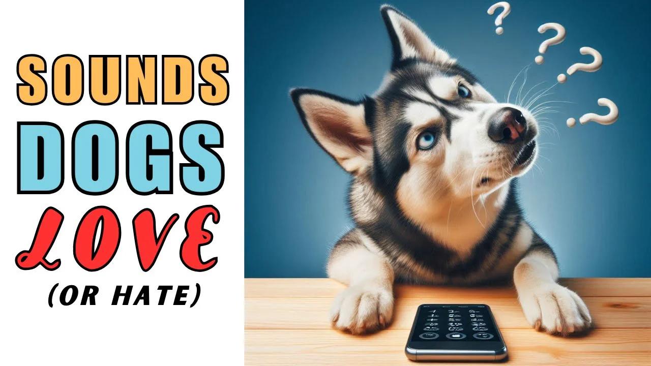 🤔10 Sounds That Make Your Dog Bark or Tilt Head | Dogs Barking Loud ...