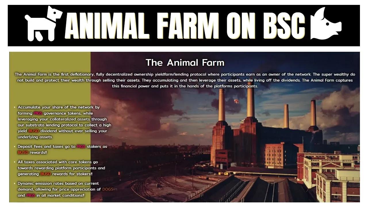 Animal Farm on Binance Smart Chain