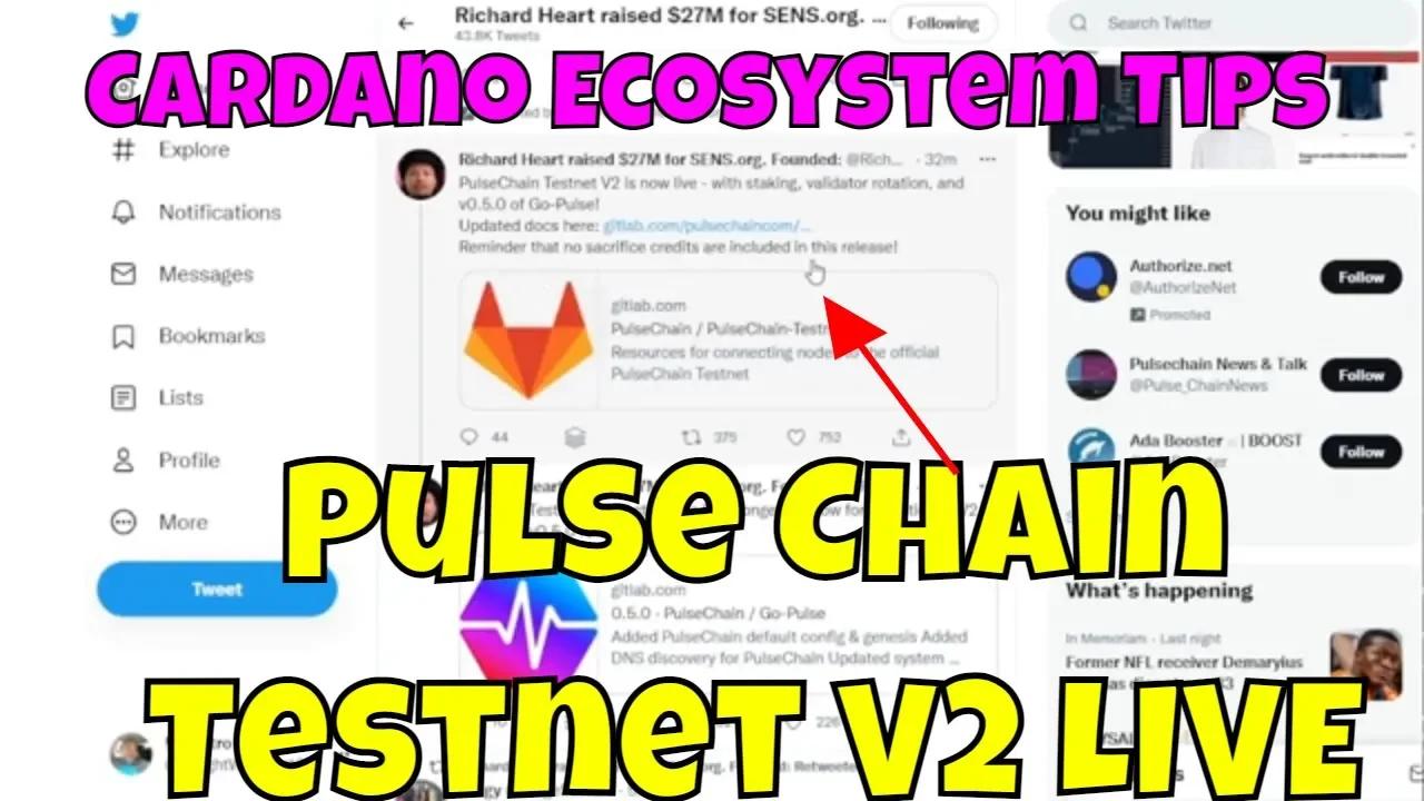 Pulse Chain Video Testnet V2 LIVE| Cardano Ecosystem | Hex