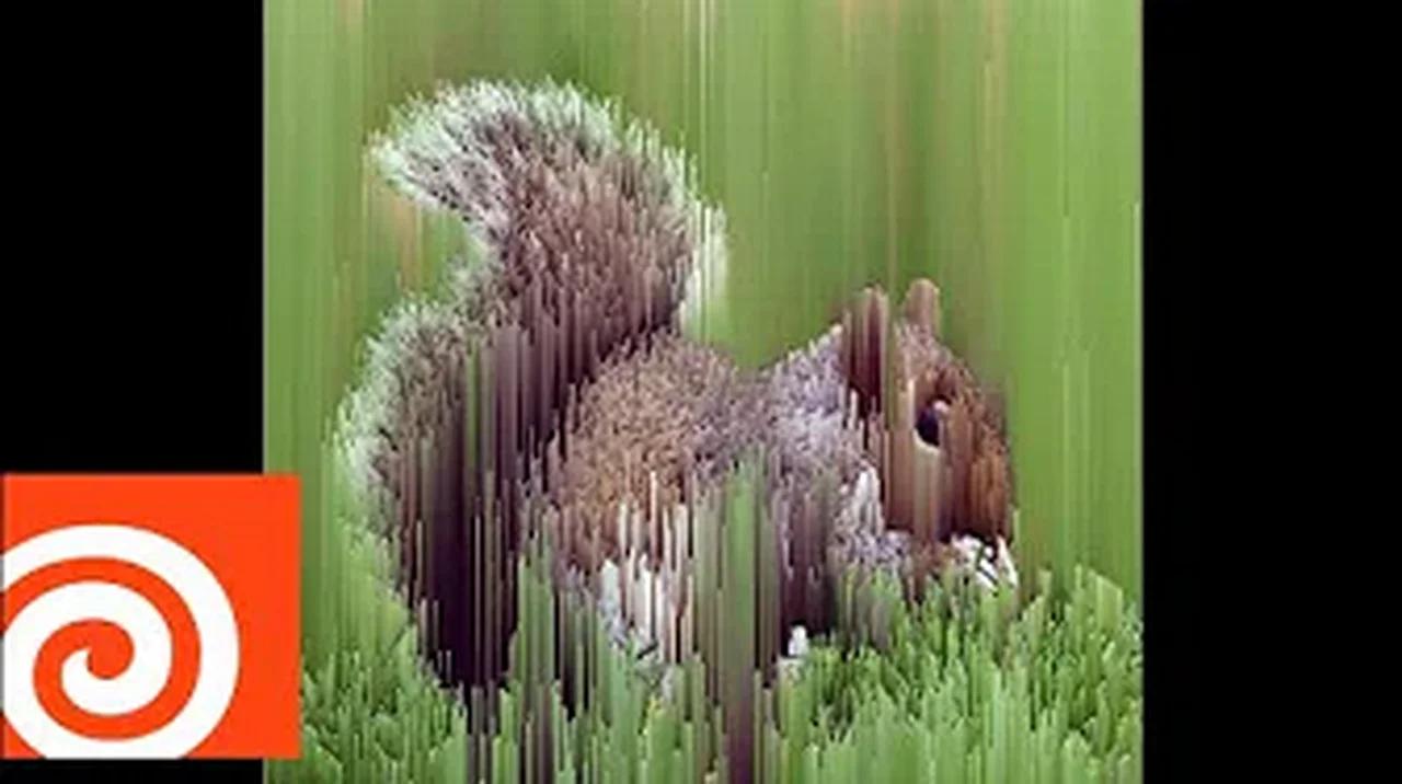 Houdini Tutorial - Pixel Sorting with SOPs and COPs