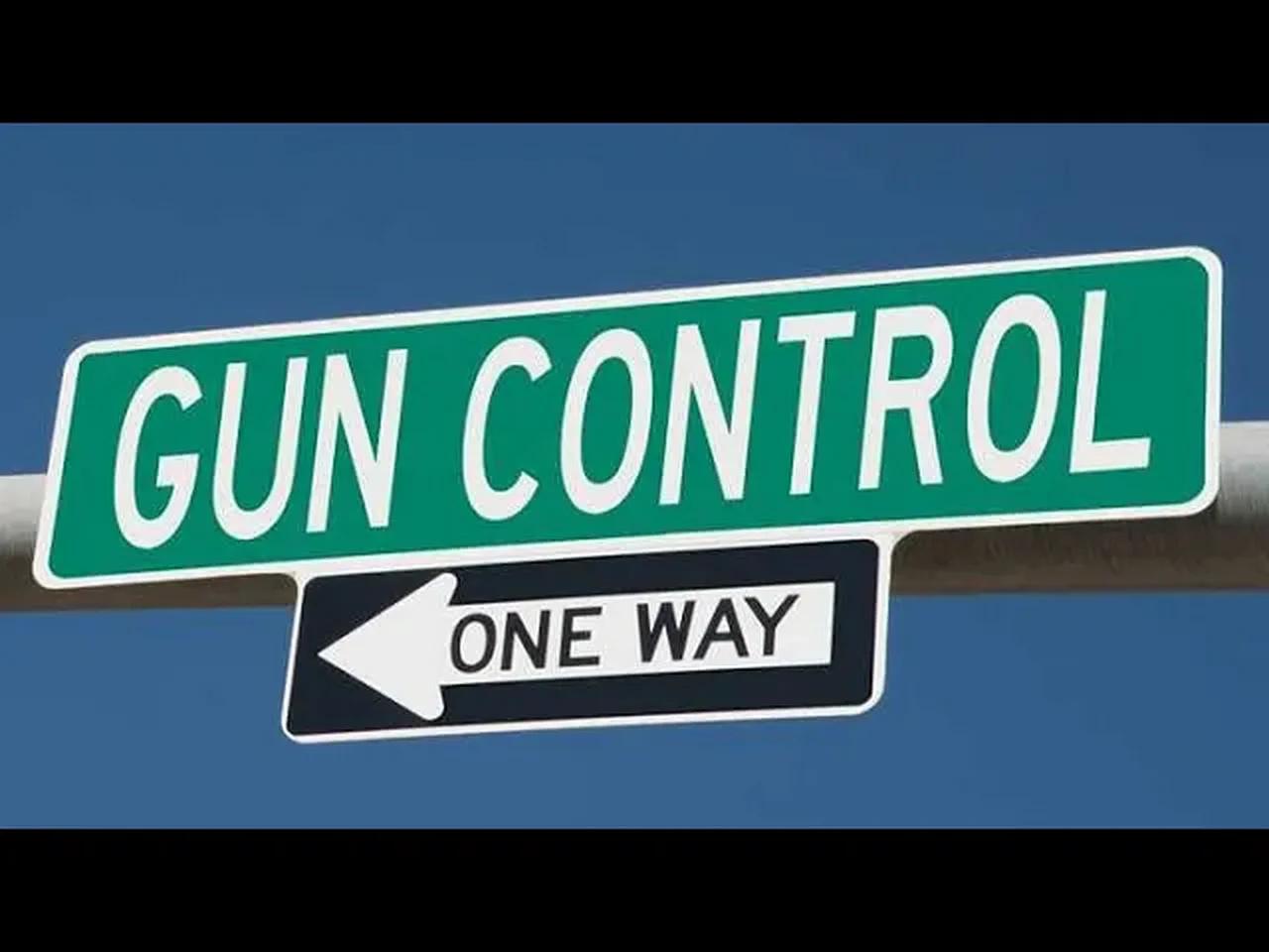 GUN CONTROL and LOGICAL FALLACIES
