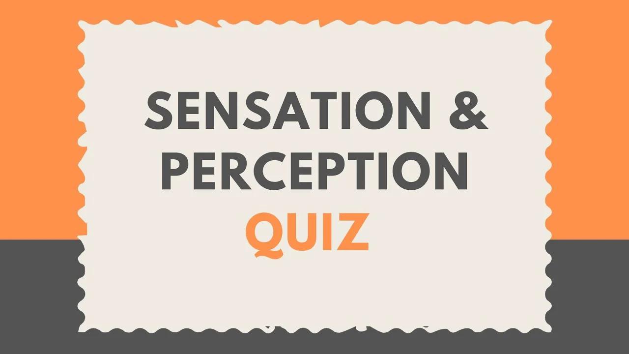 Freshman Psychology Sensation and Perception Questions